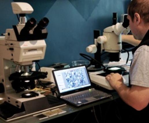 Petrography : Putting stone under the microscope | Stone Specialist